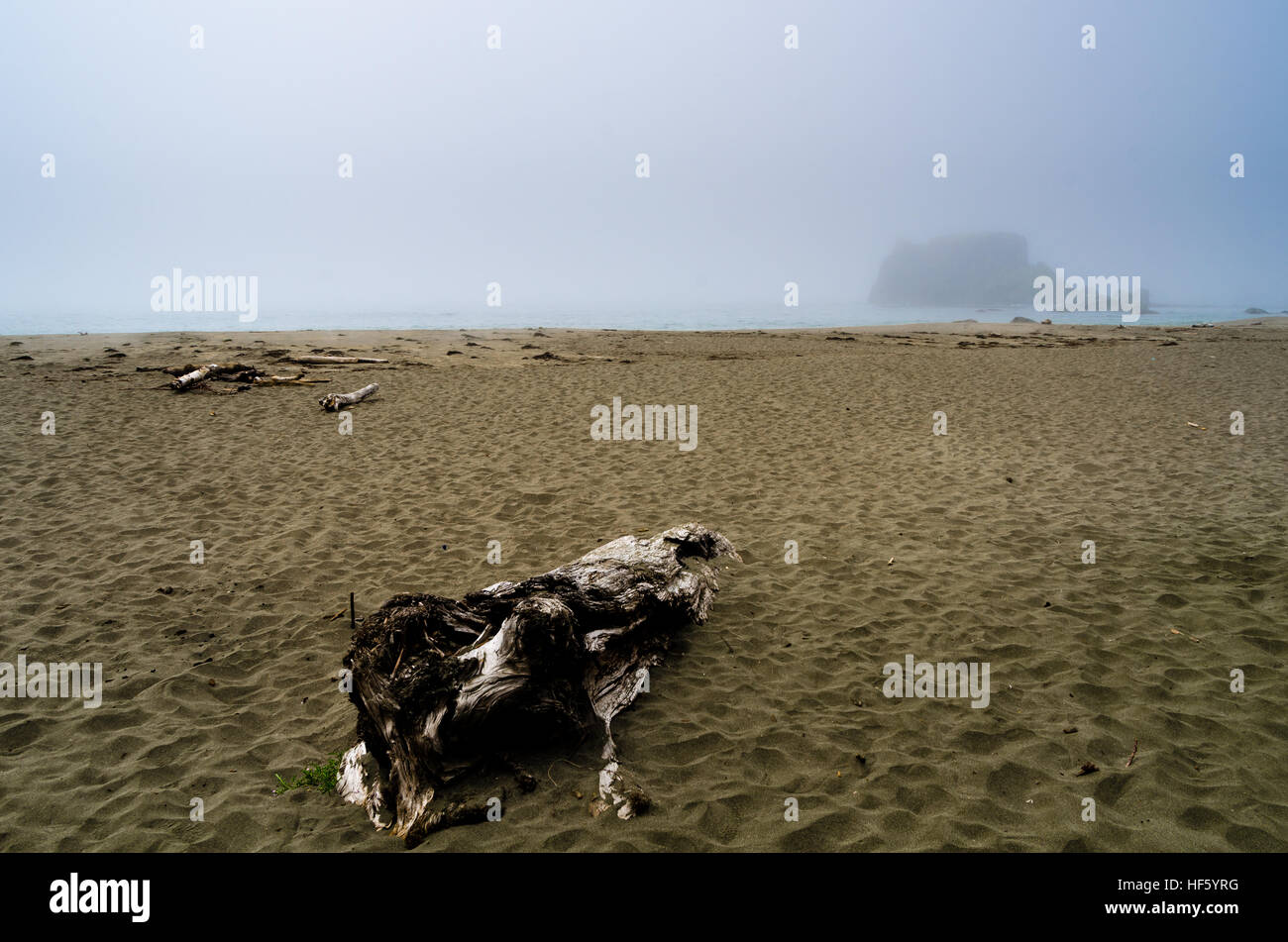 Foggy Oregon Coast Stock Photo - Alamy