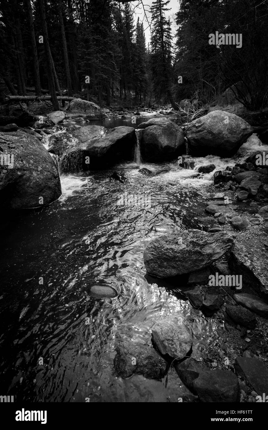 Peaceful calm forest river flowing Black and White Stock Photos ...