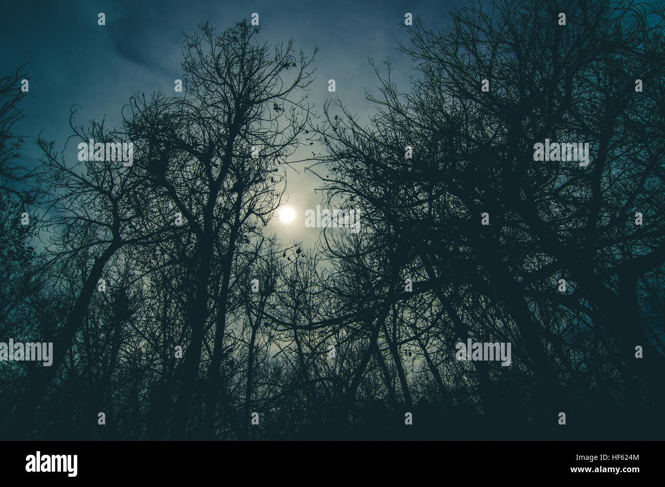 Dark autumn hi-res stock photography and images - Alamy