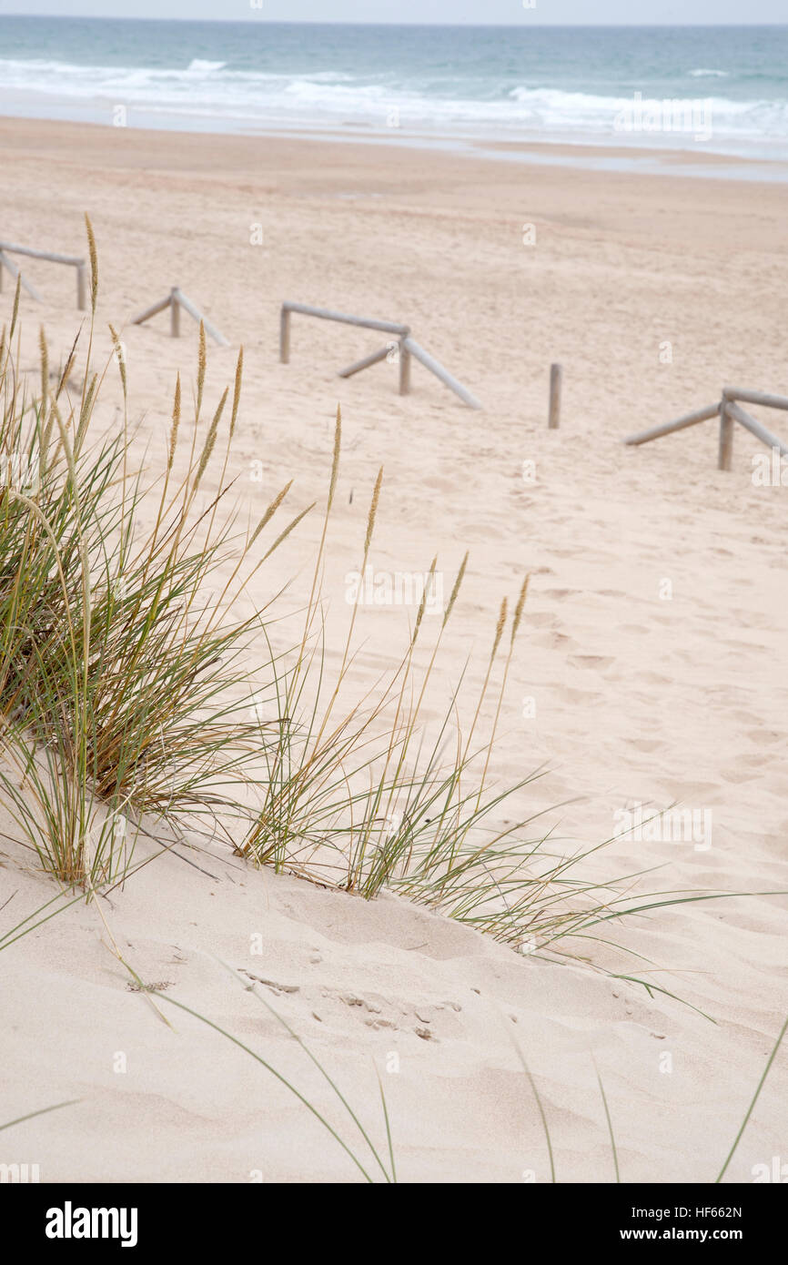 El Palmar Beach, Cadiz, Spain Stock Photo - Alamy