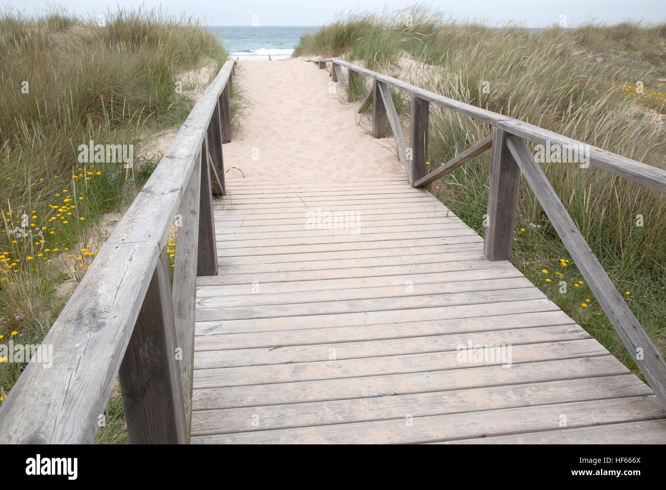 Footpath to El Palmar Beach, Cadiz, Spain Stock Photo - Alamy