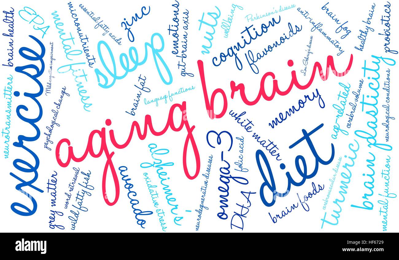 Aging Brain word cloud on a white background Stock Vector Image & Art ...