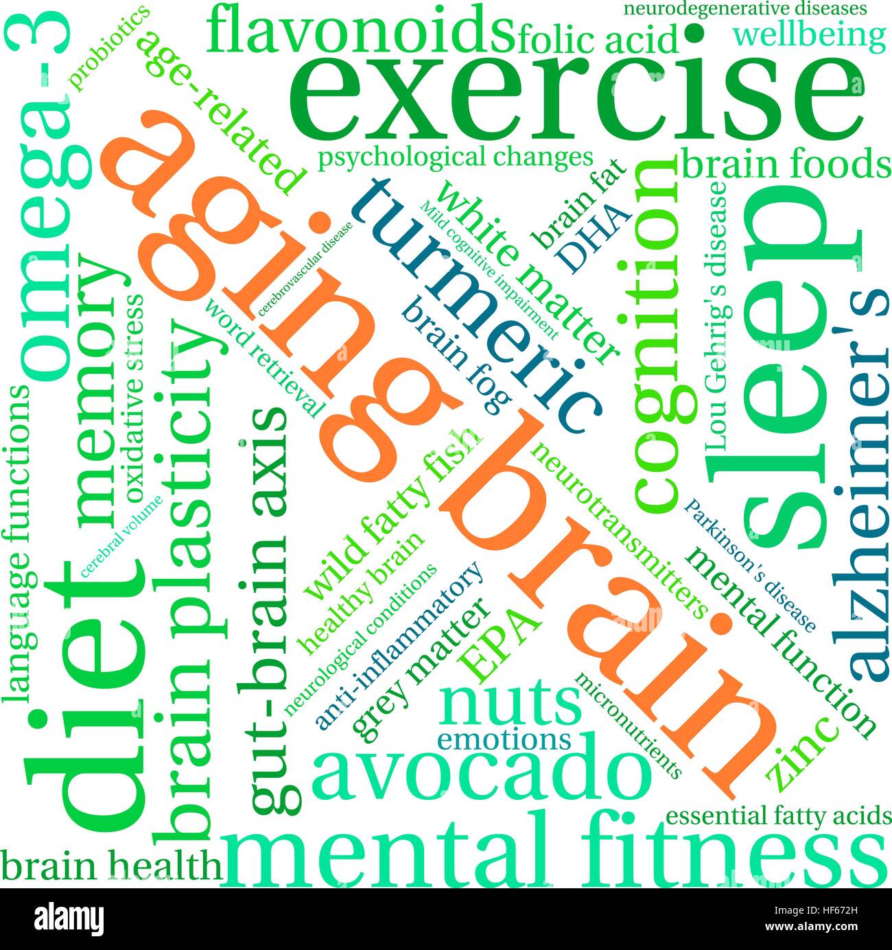 Aging Brain word cloud on a white background Stock Vector Image & Art ...