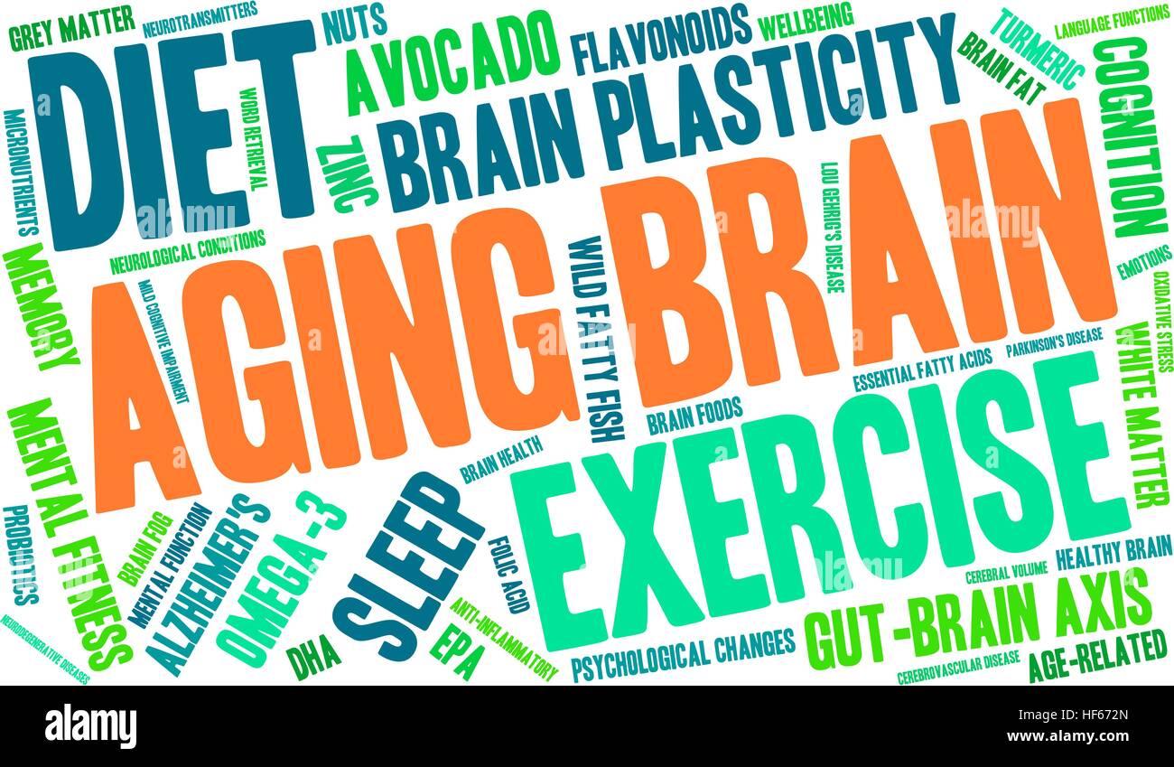 Aging Brain word cloud on a white background Stock Vector Image & Art ...