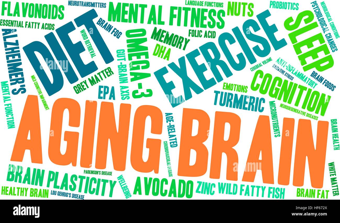 Aging Brain word cloud on a white background Stock Vector Image & Art ...