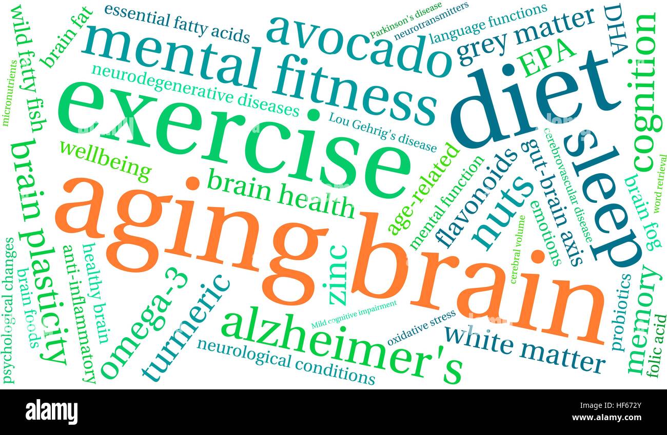 Aging Brain word cloud on a white background Stock Vector Image & Art ...