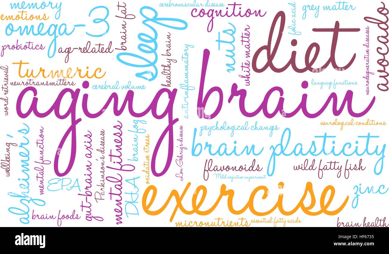 Aging Brain word cloud on a white background Stock Vector Image & Art ...