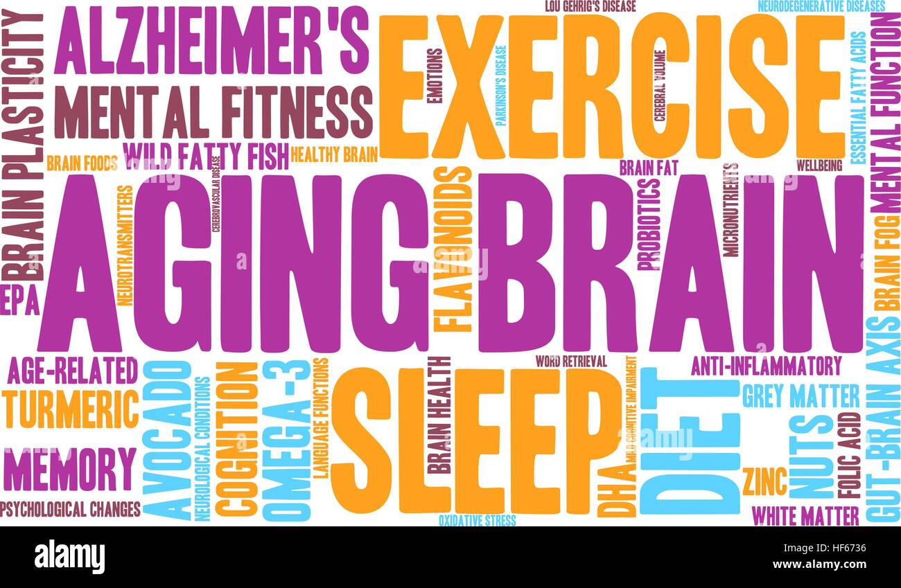 Aging Brain word cloud on a white background Stock Vector Image & Art ...