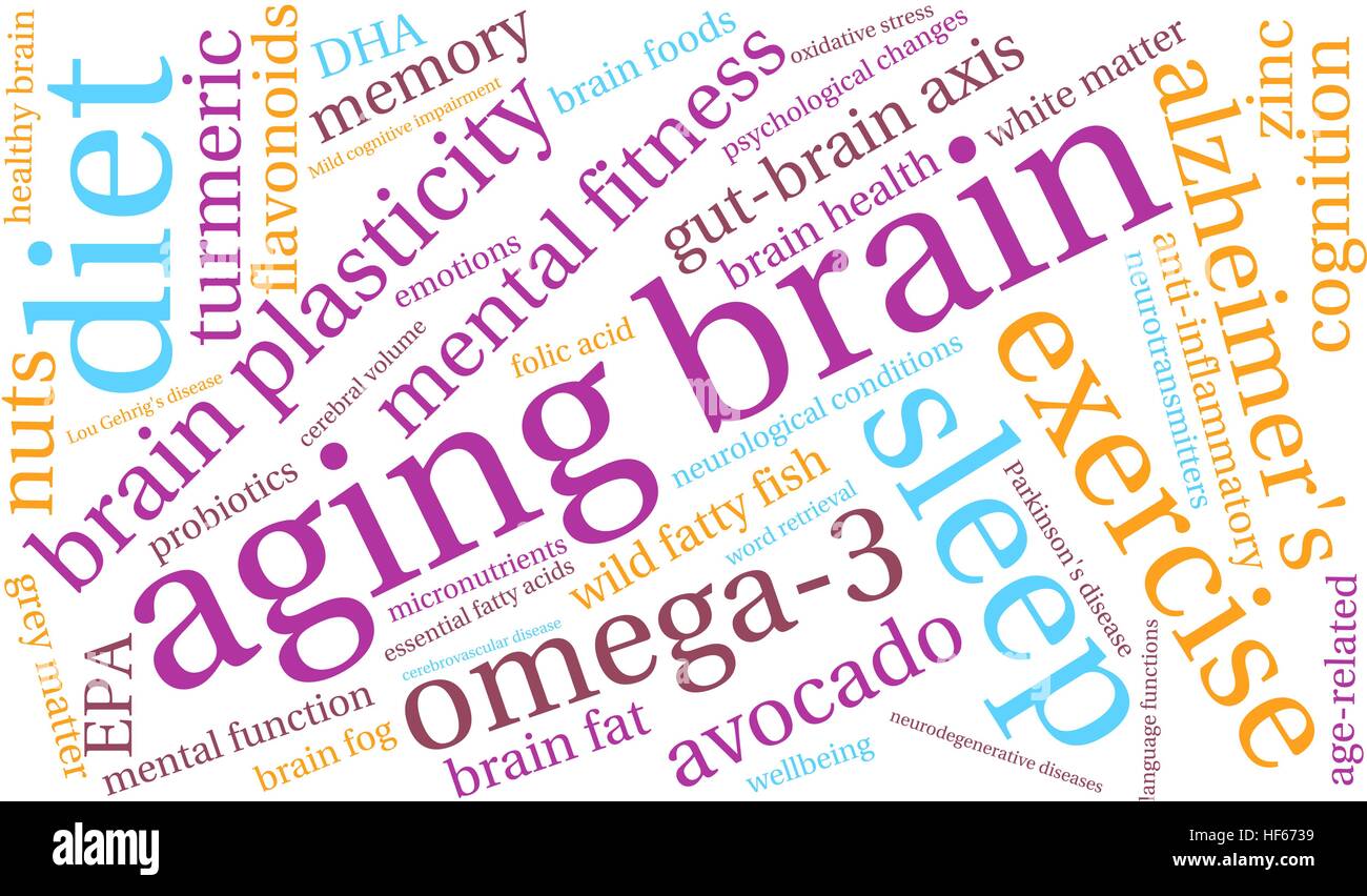 Aging Brain word cloud on a white background Stock Vector Image & Art ...
