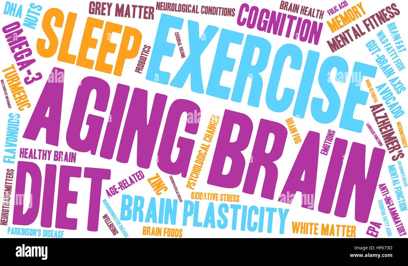 Aging Brain word cloud on a white background Stock Vector Image & Art ...