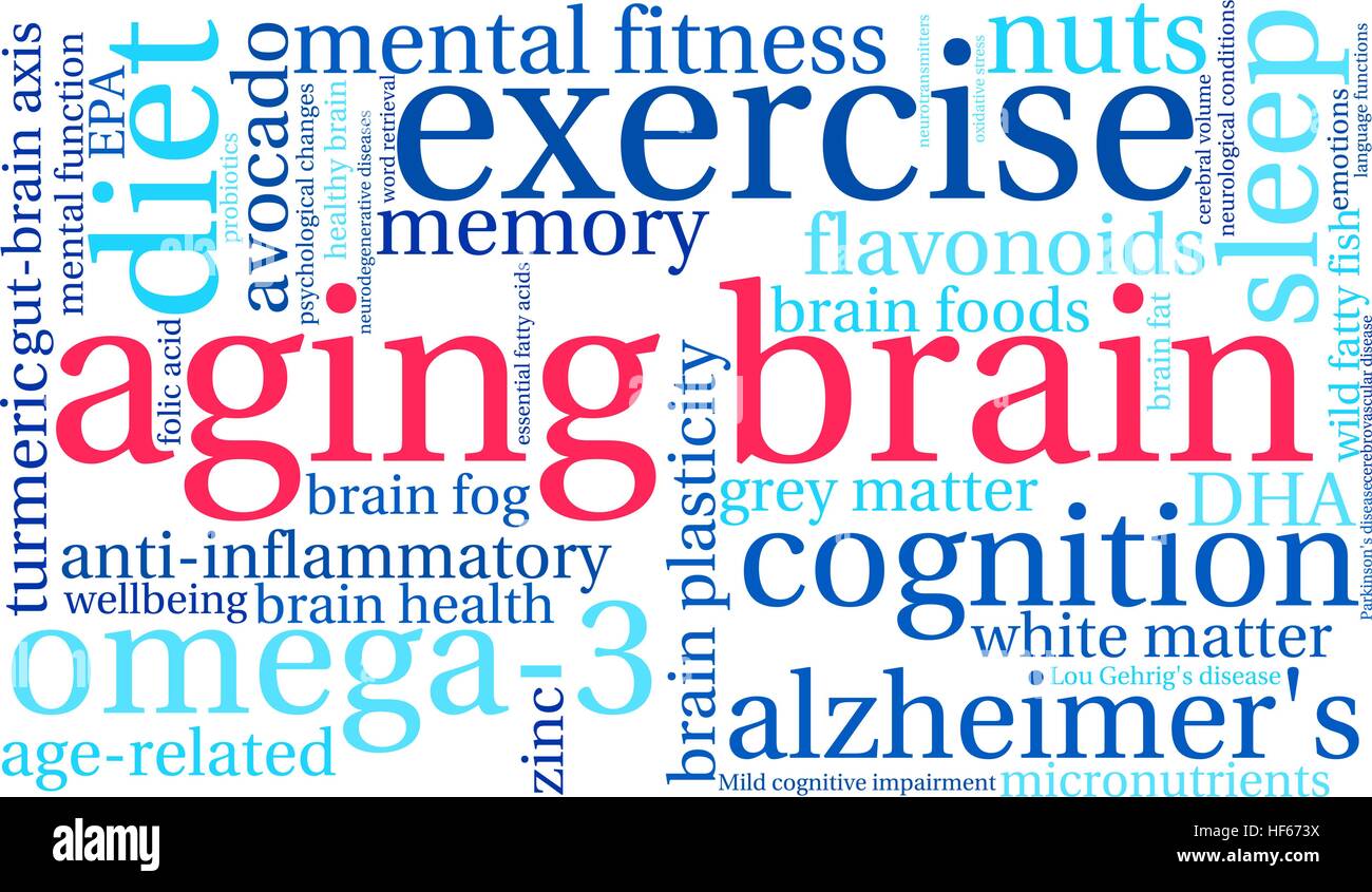 Aging Brain word cloud on a white background Stock Vector Image & Art ...
