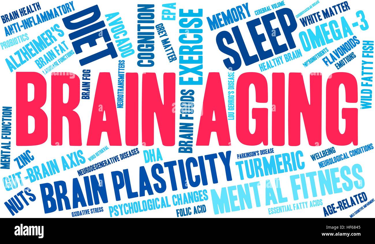Brain Aging word cloud on a white background Stock Vector Image & Art ...