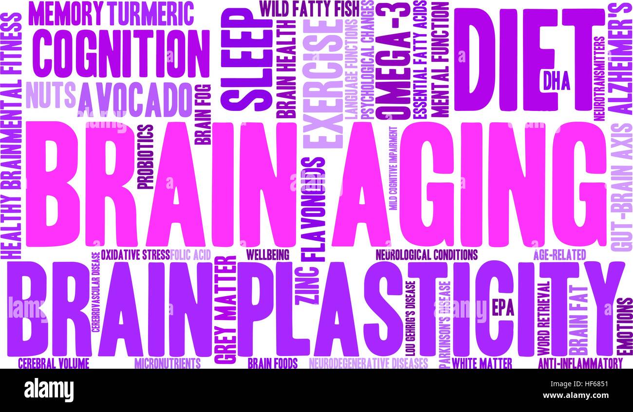 Brain Aging word cloud on a white background Stock Vector Image & Art ...