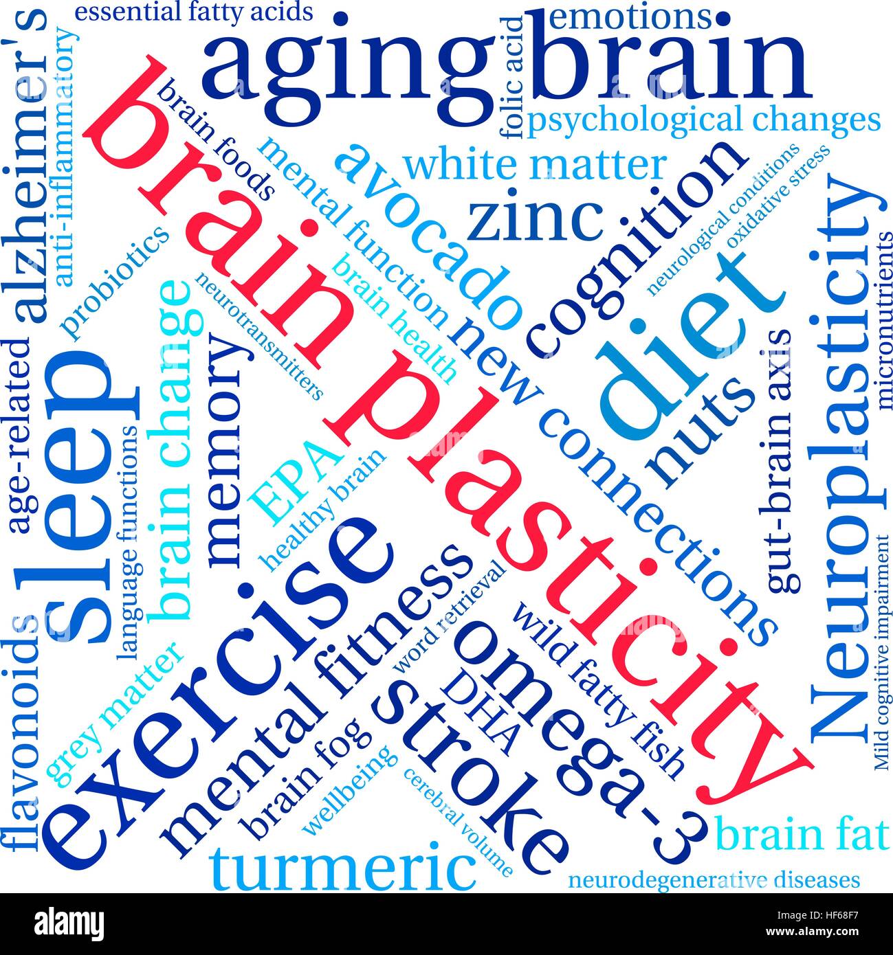 Brain Plasticity word cloud on a white background Stock Vector Image ...