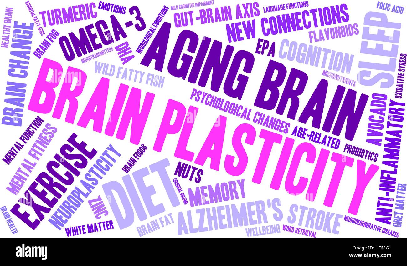 Brain Plasticity word cloud on a white background Stock Vector Image ...