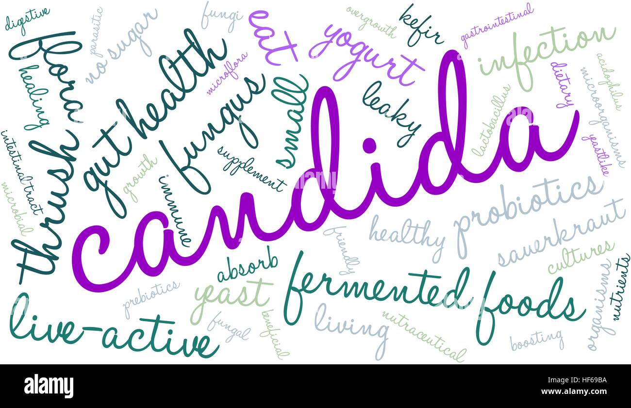 Candida word cloud on a white background Stock Vector Image & Art - Alamy