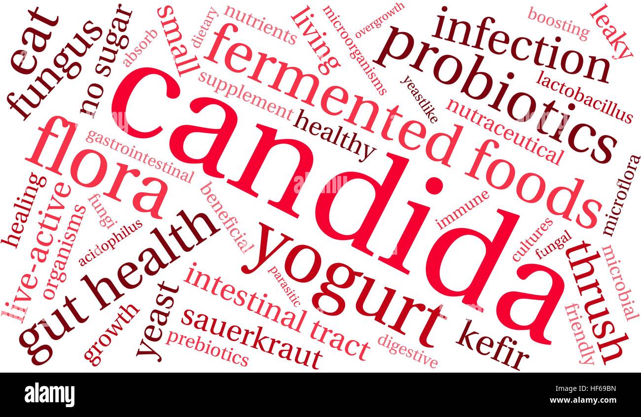 Candida word cloud on a white background Stock Vector Image & Art - Alamy
