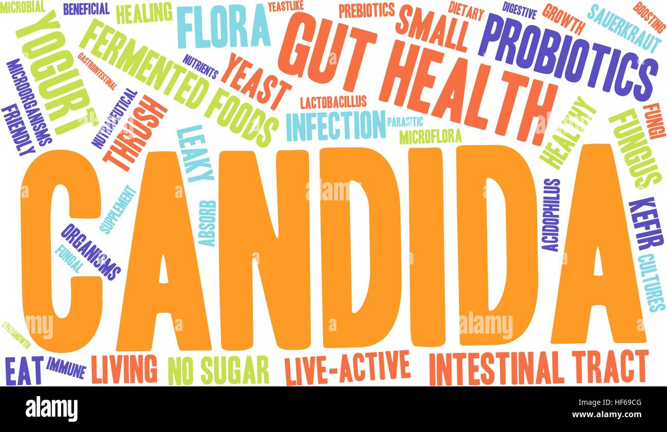 Candida word cloud on a white background Stock Vector Image & Art - Alamy