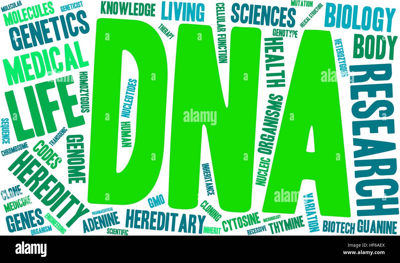 DNA word cloud on a white background Stock Vector Image & Art - Alamy