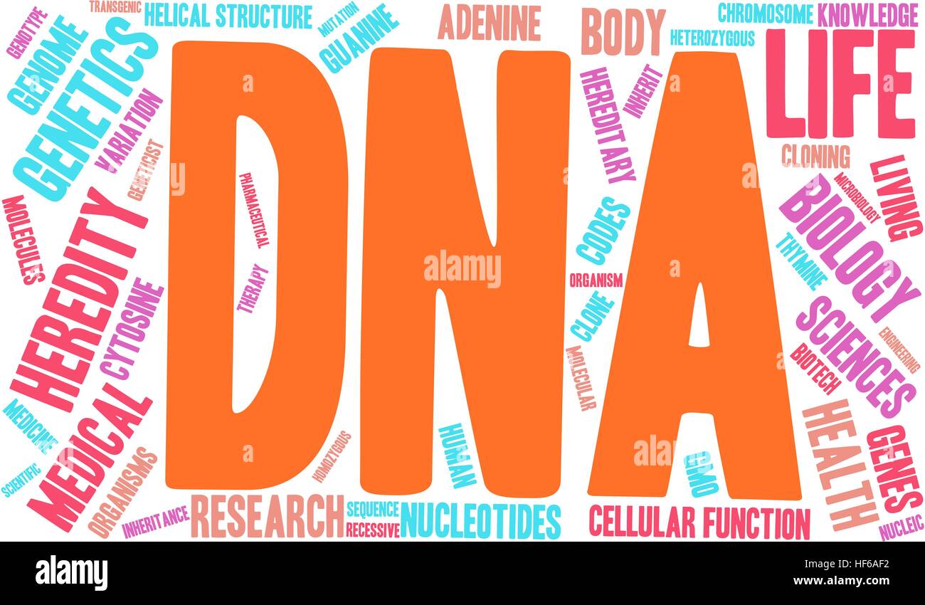 DNA word cloud on a white background Stock Vector Image & Art - Alamy