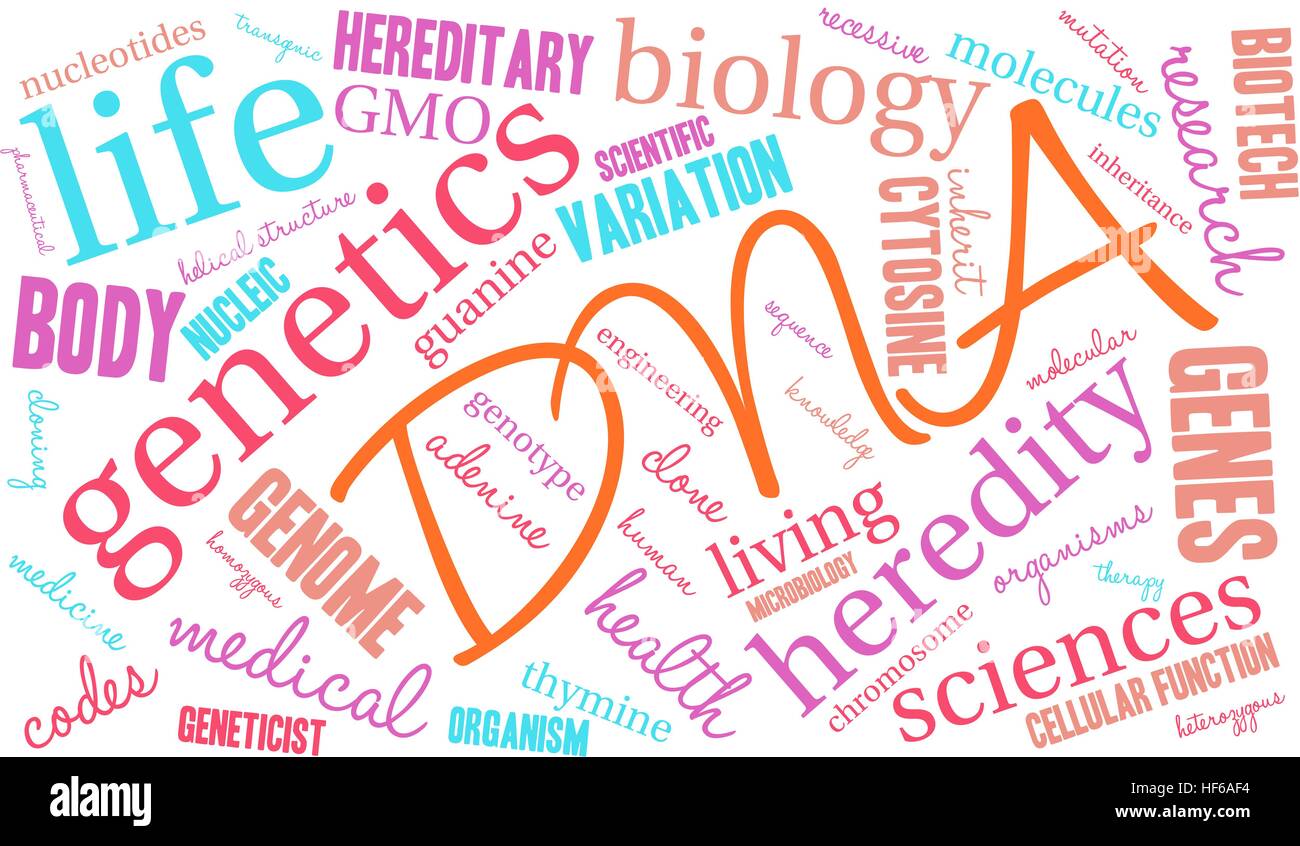 DNA word cloud on a white background Stock Vector Image & Art - Alamy