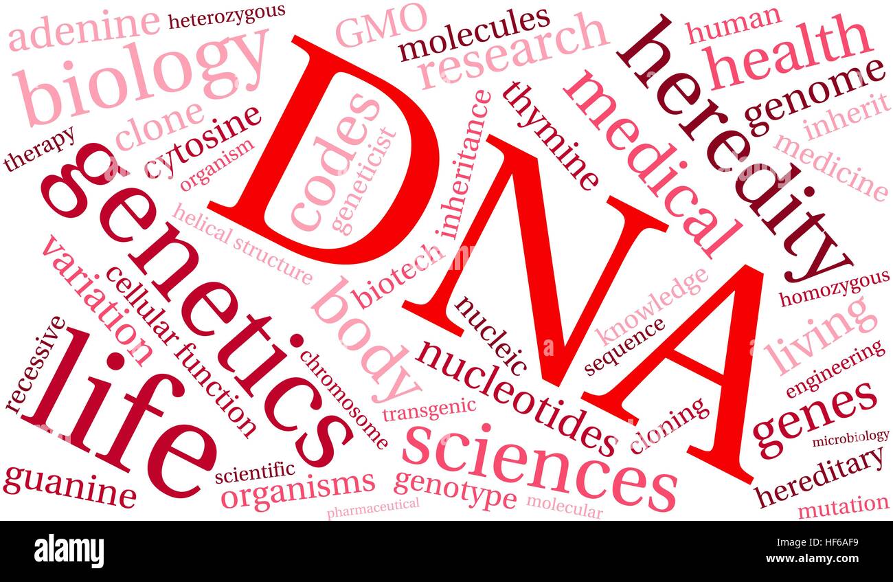 DNA word cloud on a white background Stock Vector Image & Art - Alamy