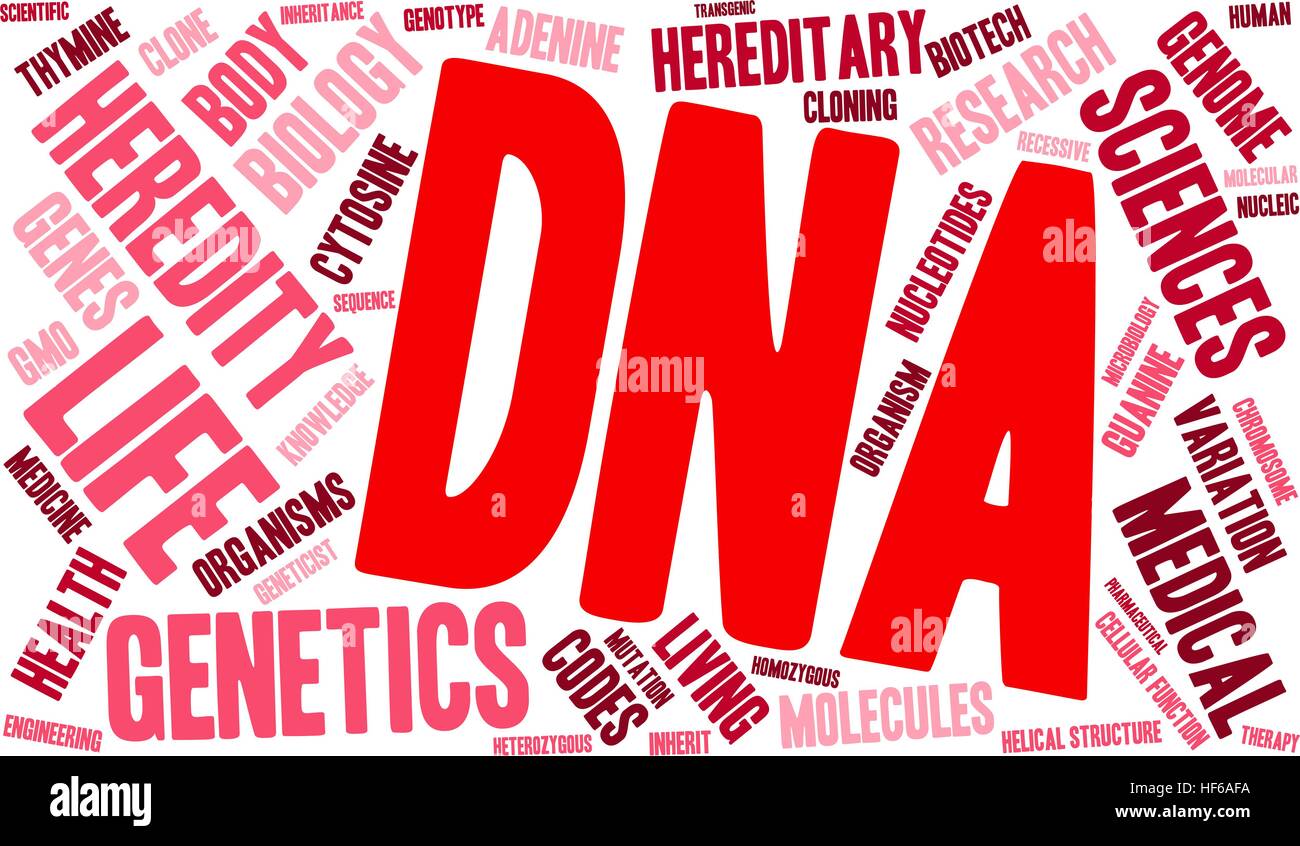DNA word cloud on a white background Stock Vector Image & Art - Alamy