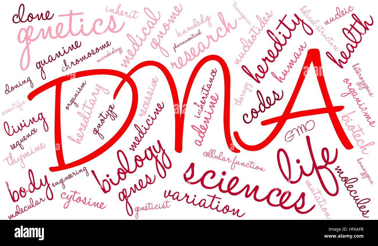 DNA word cloud on a white background Stock Vector Image & Art - Alamy