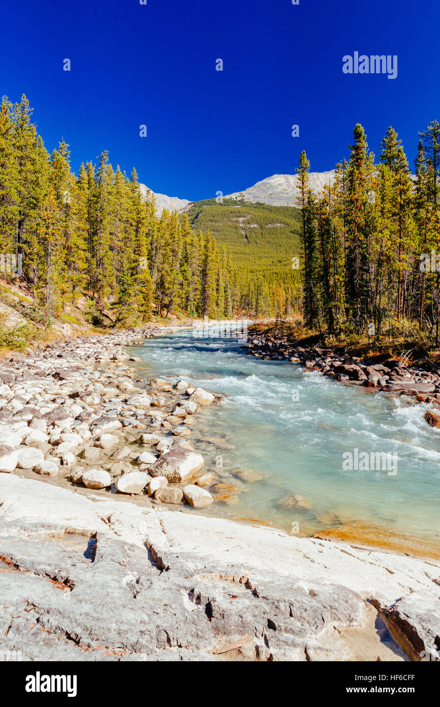 Sunwapta falls athabasca river alberta hi-res stock photography and ...