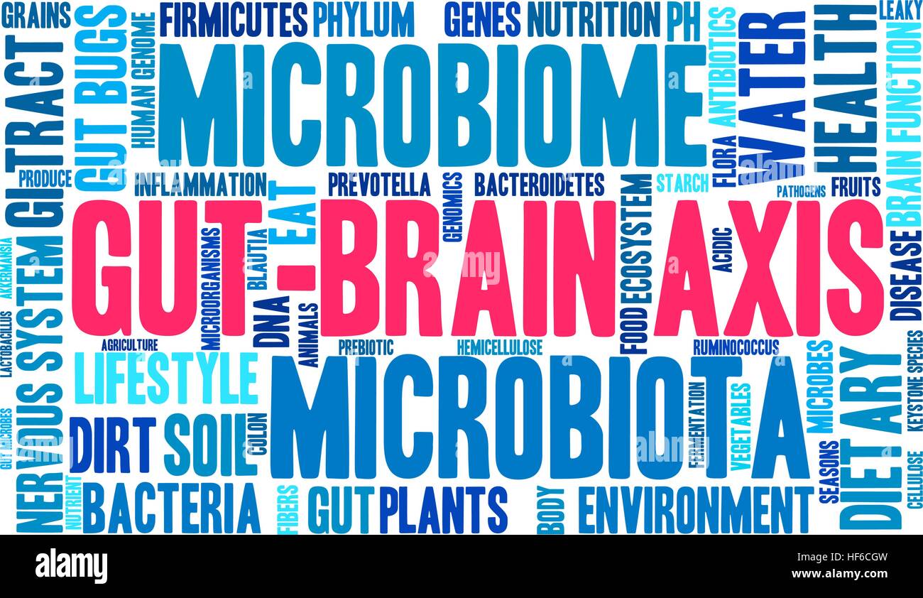 Gut brain axis hi-res stock photography and images - Alamy
