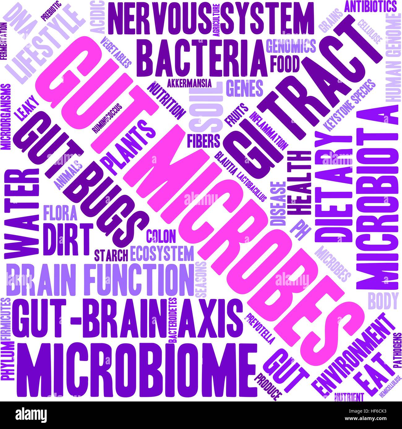 Gut Microbes word cloud on a white background Stock Vector Image & Art ...
