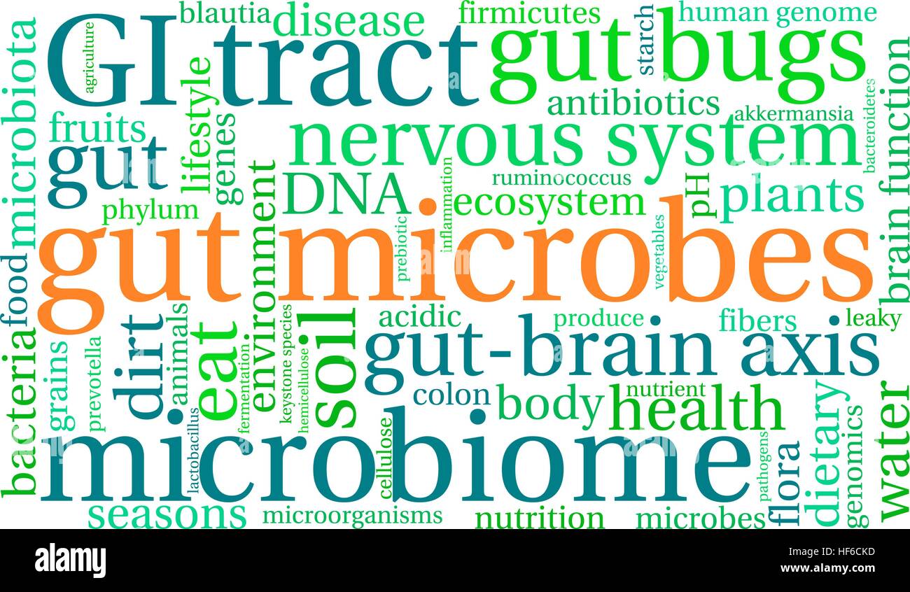 Gut Microbes word cloud on a white background Stock Vector Image & Art ...