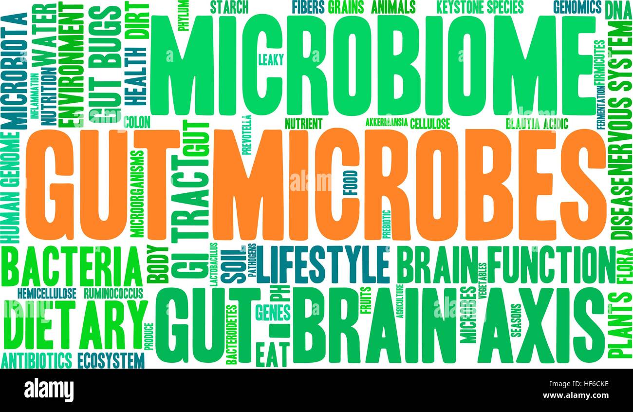 Gut Microbes word cloud on a white background Stock Vector Image & Art ...