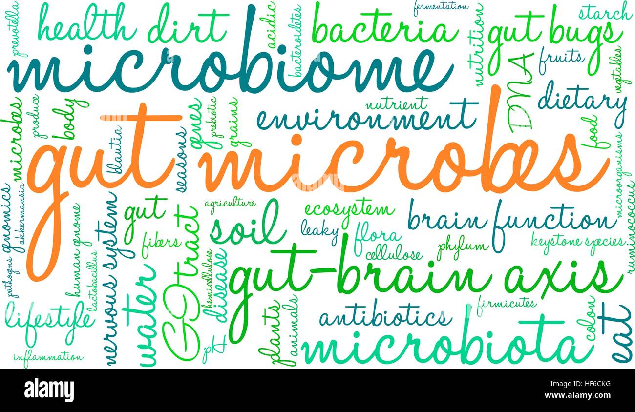 Cellulose fermentation hi-res stock photography and images - Alamy