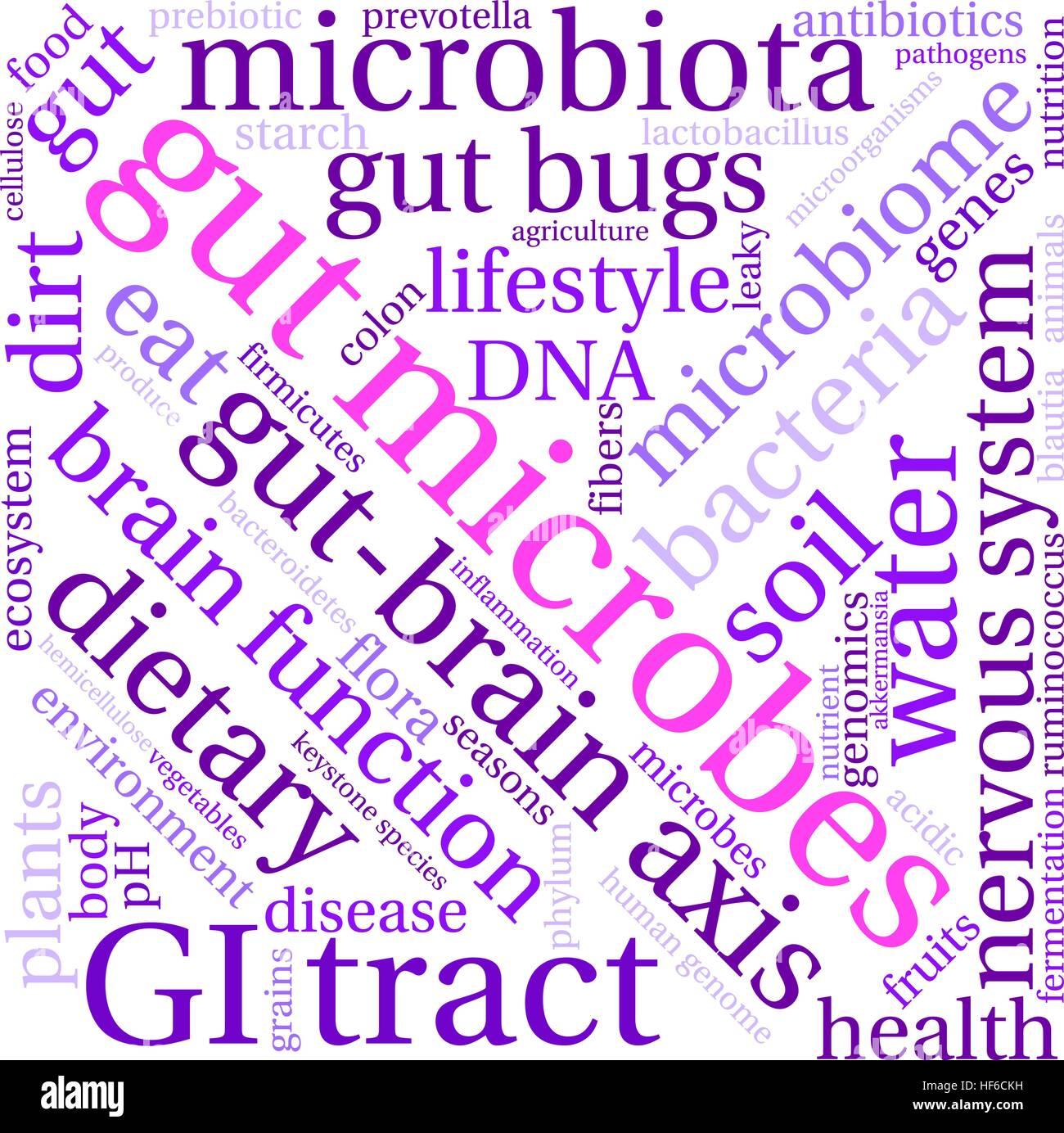 Lactobacillus microbes gut Stock Vector Images - Alamy