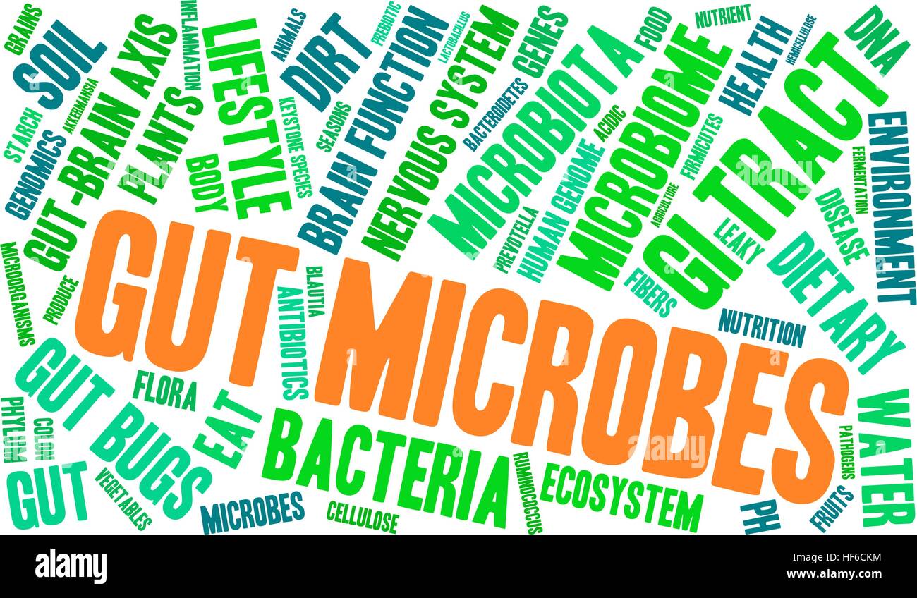 Gut microbiota vector vectors hi-res stock photography and images - Alamy