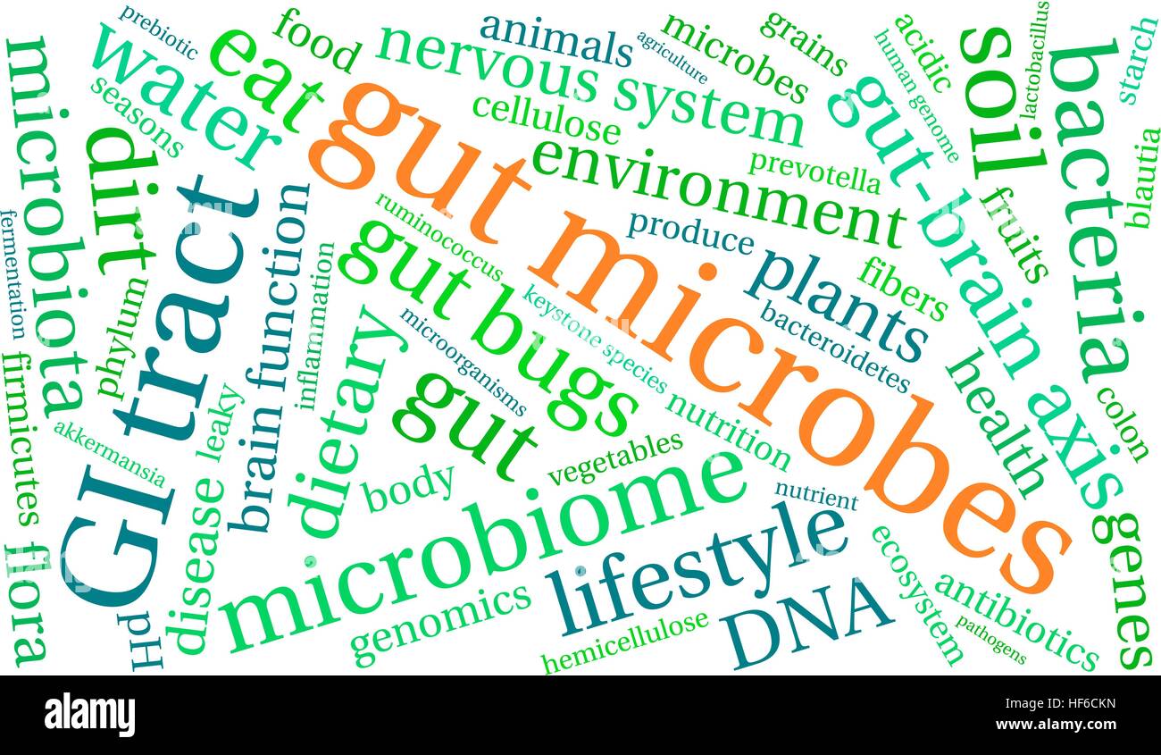 Gut Microbes word cloud on a white background Stock Vector Image & Art ...