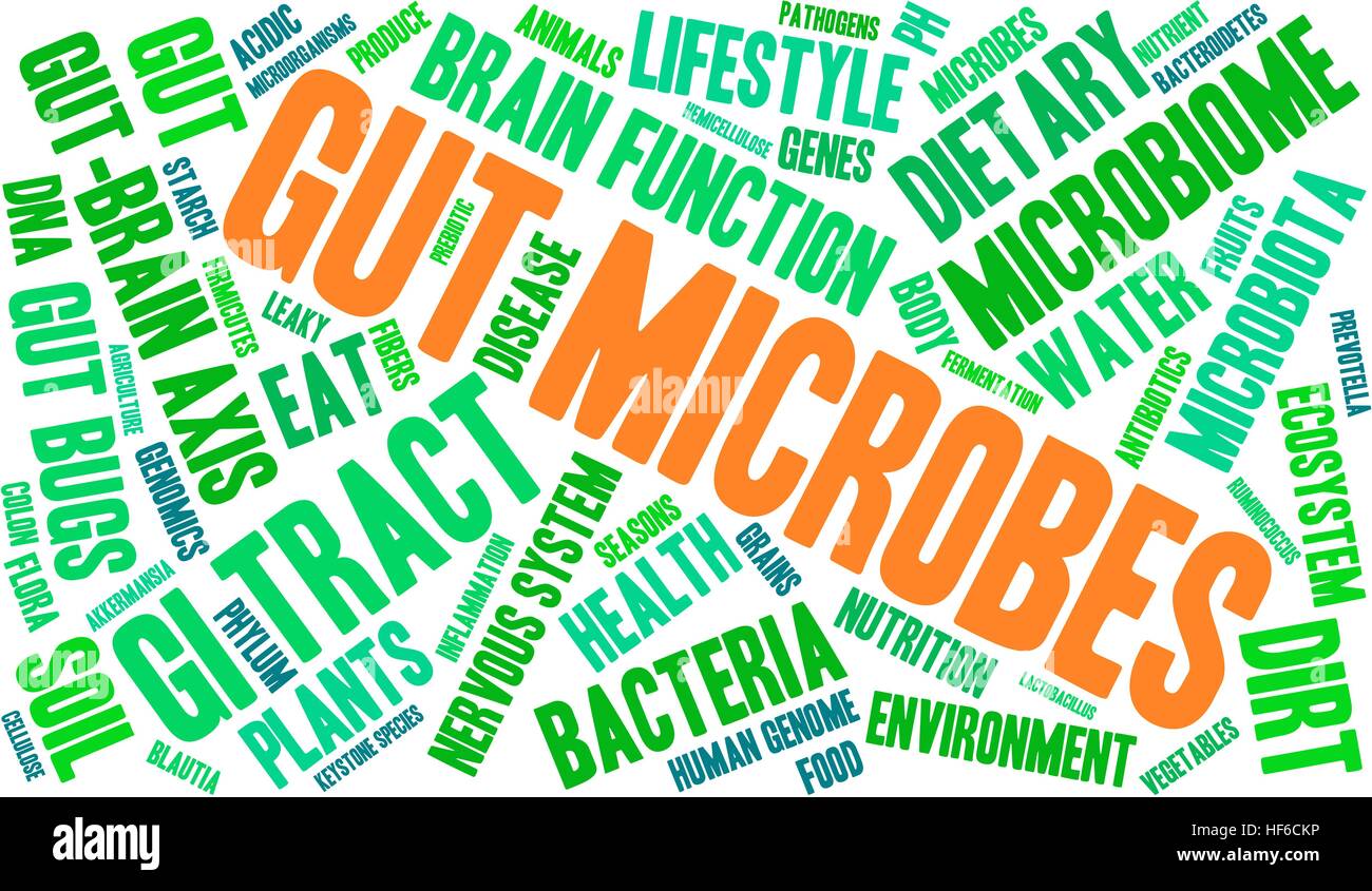 Gut Microbes word cloud on a white background Stock Vector Image & Art ...
