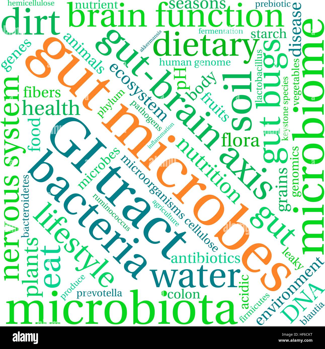 Gut microbiota vector vectors hi-res stock photography and images - Alamy