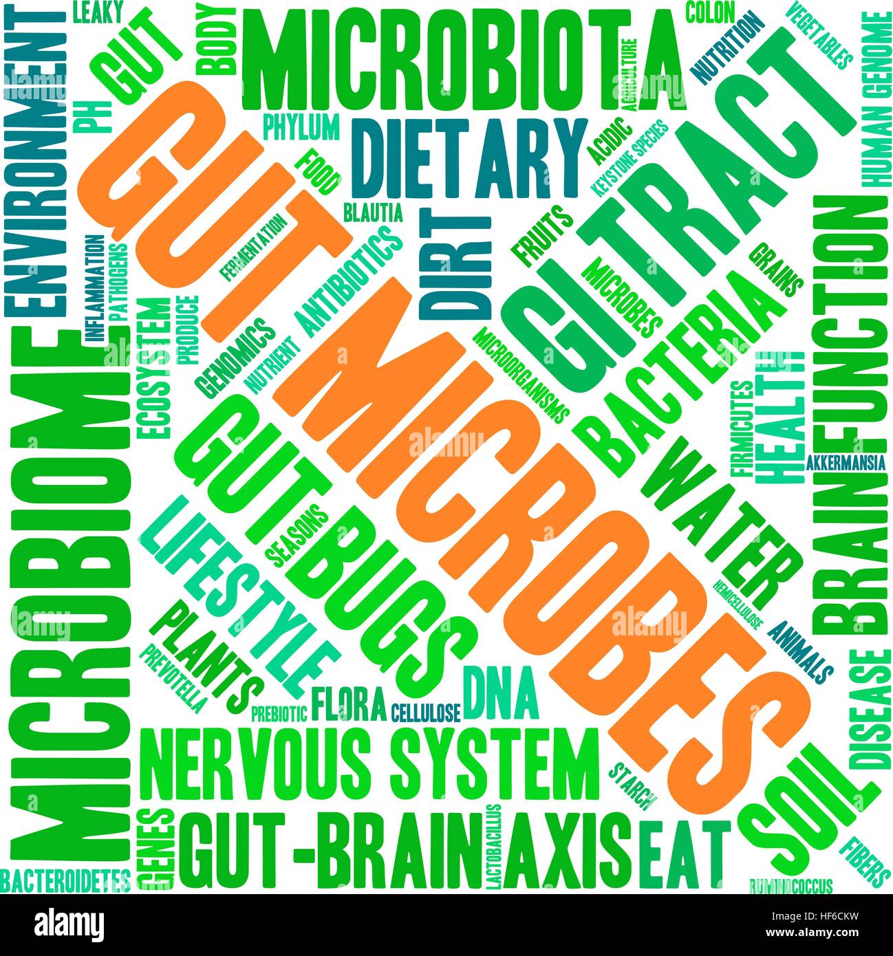 Gut Microbes word cloud on a white background Stock Vector Image & Art ...