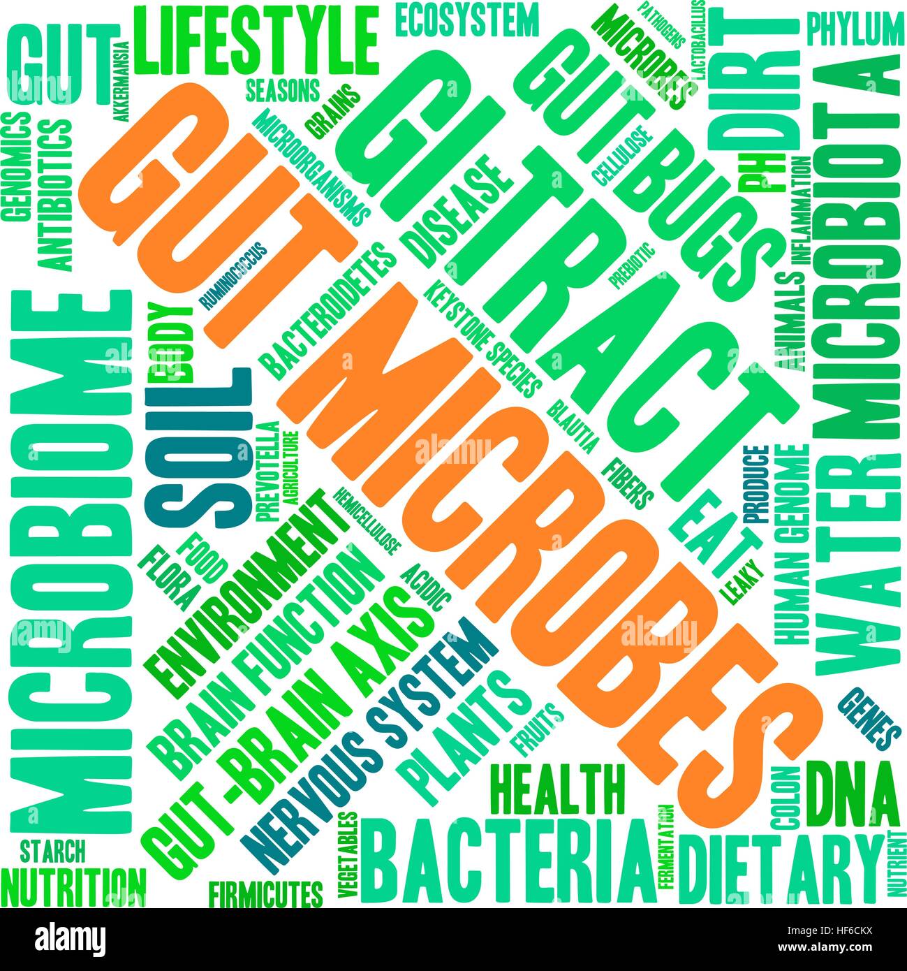 Lactobacillus microbes gut Stock Vector Images - Alamy