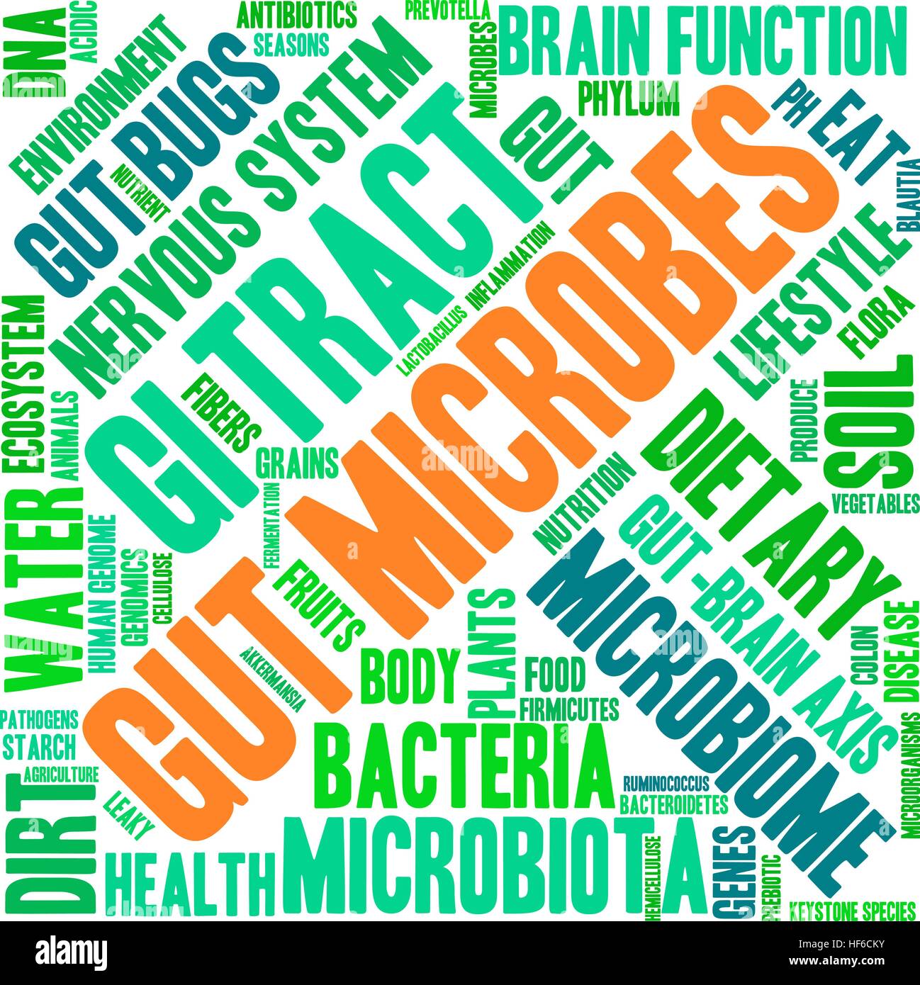 Gut Microbes word cloud on a white background Stock Vector Image & Art ...