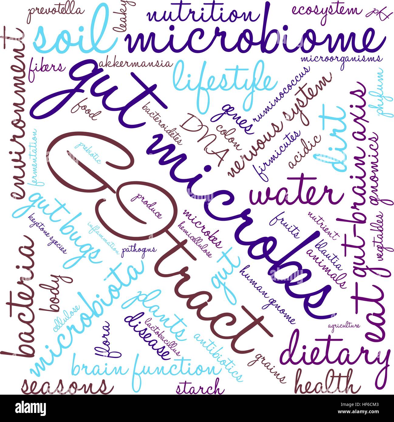 Gut Microbes word cloud on a white background Stock Vector Image & Art ...