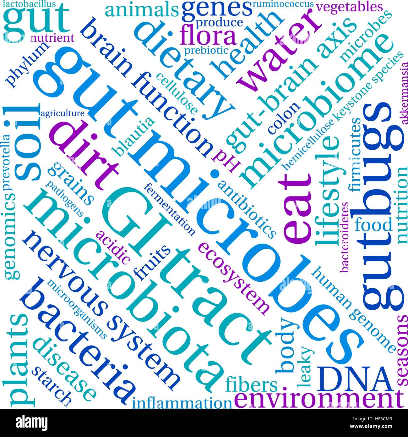 Gut Microbes word cloud on a white background Stock Vector Image & Art ...