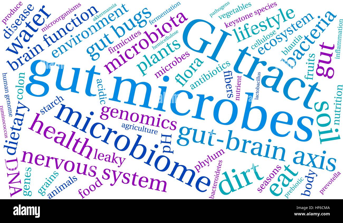 Gut Microbes word cloud on a white background Stock Vector Image & Art ...