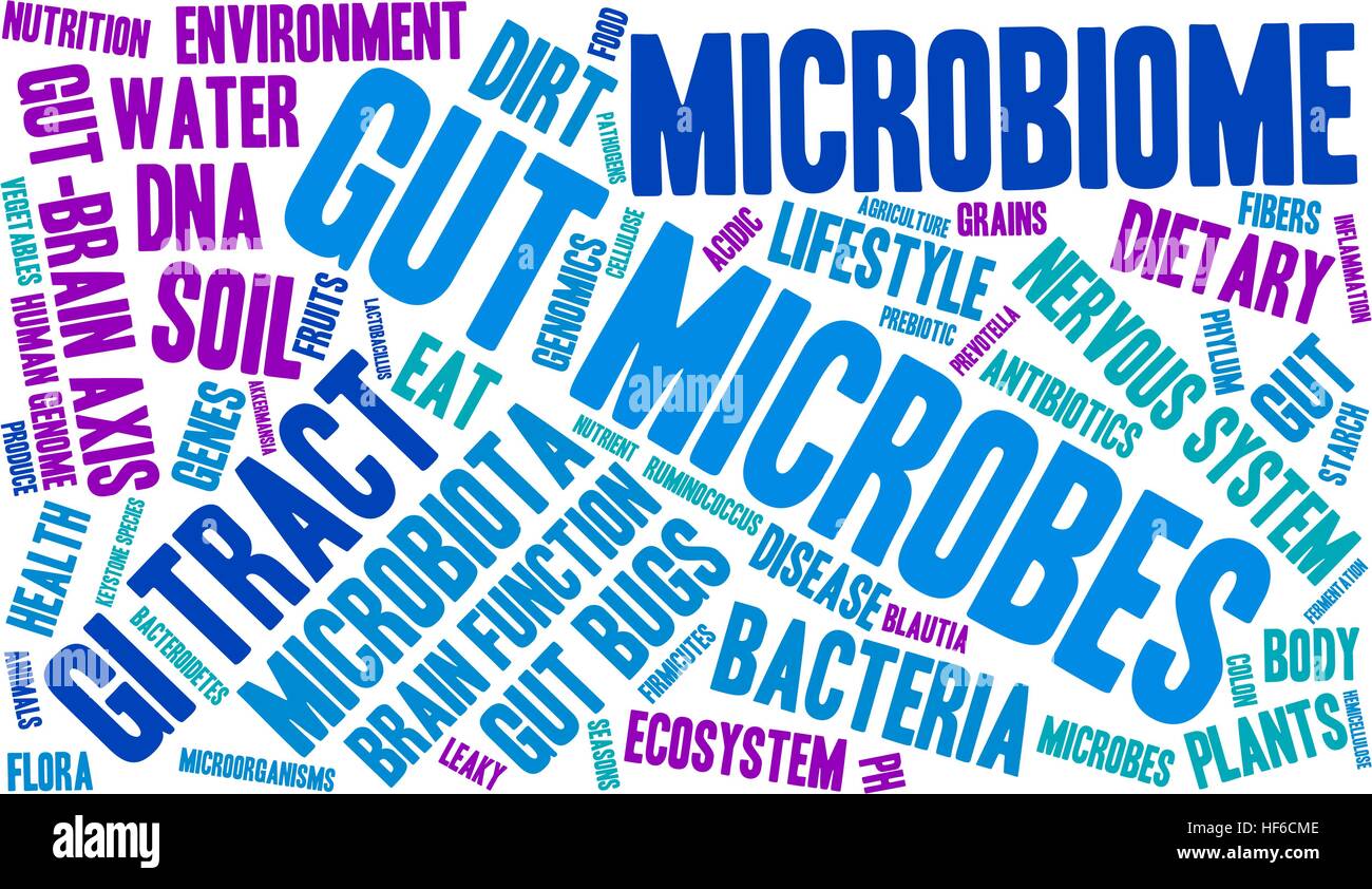 Gut Microbes word cloud on a white background Stock Vector Image & Art ...