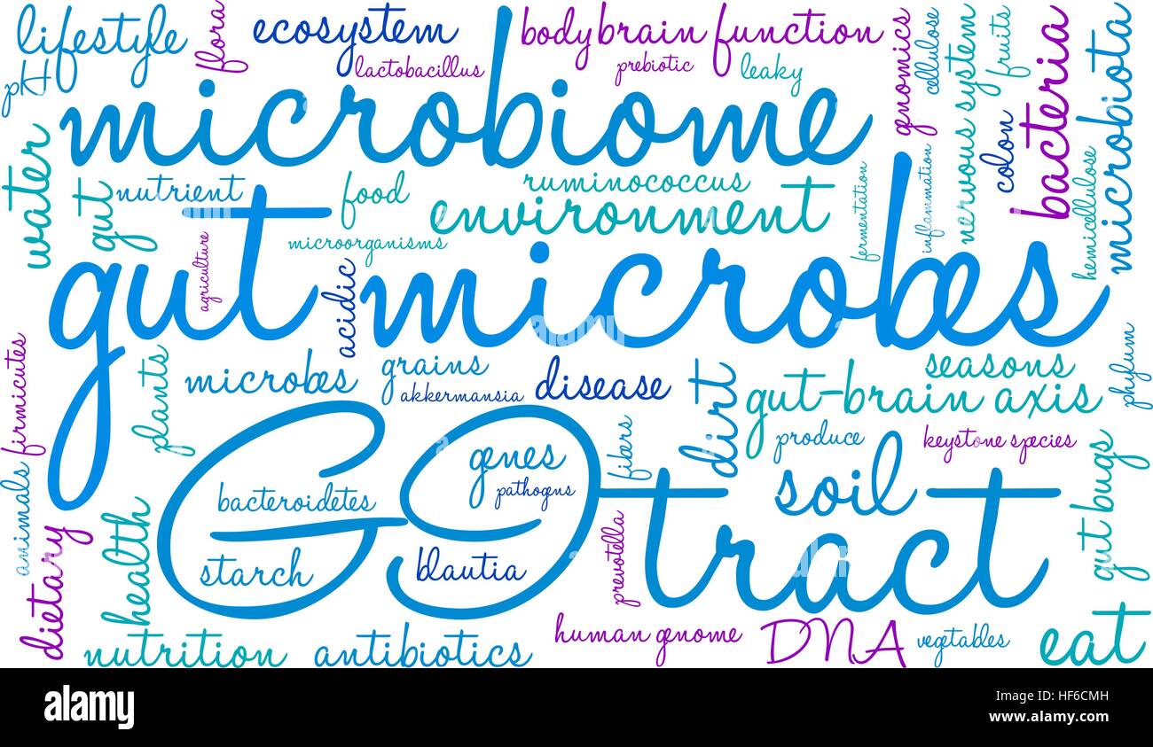 Gut Microbes word cloud on a white background Stock Vector Image & Art ...