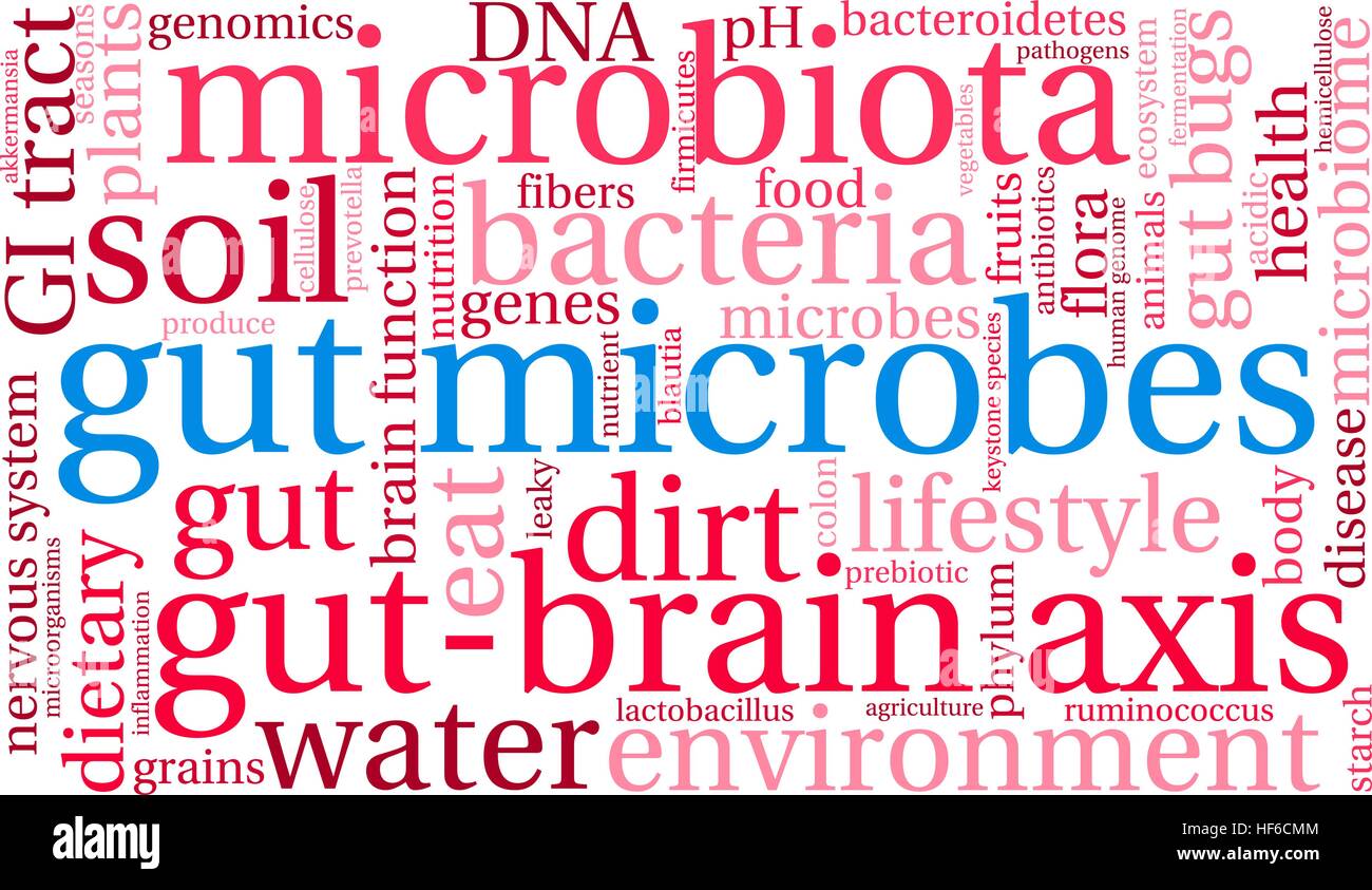 Gut Microbes word cloud on a white background Stock Vector Image & Art ...