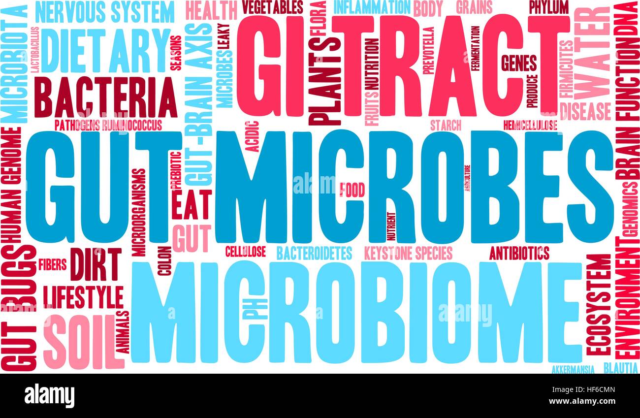 Gut microbiota vector vectors hi-res stock photography and images - Alamy