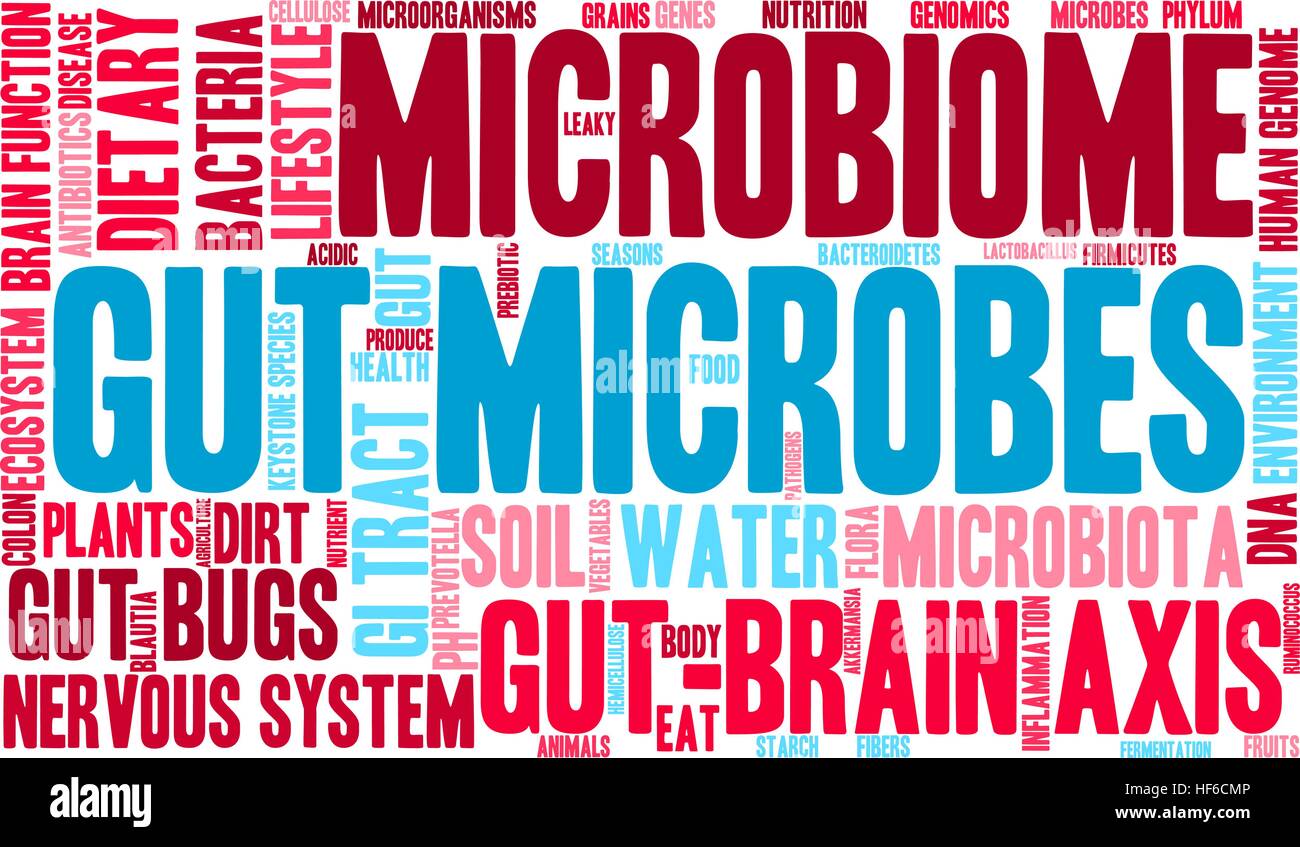Gut Microbes word cloud on a white background Stock Vector Image & Art ...